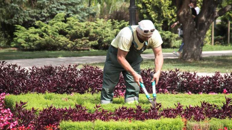 Why Should I Use Professional Landscapers? – Crowning Touch Landscaping